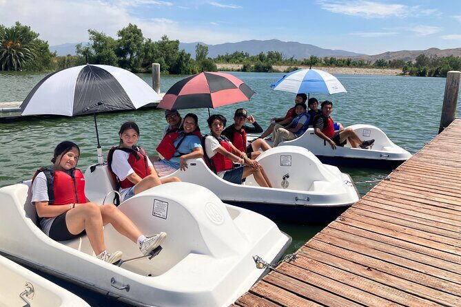 Pedal Boat Ride in Chino - An Overview of the Experience