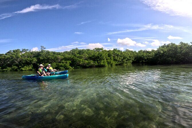 Pedal Kayak Mangrove Tunnel Tour in Bradenton - Overview of the Tour Experience