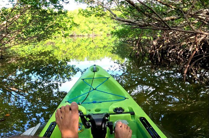 Pedal Kayak Mangrove Tunnel Tour in Bradenton - Final Thoughts