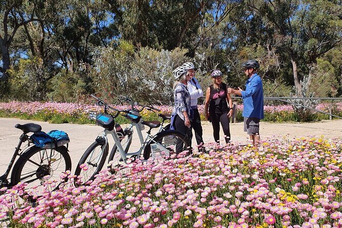 Pedals & Petals - Discovering Wildflowers Bike Tour Kings Park - Pedals & Petals - Discovering Wildflowers Bike Tour Kings Park