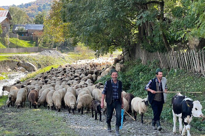 Peles castle and authentic Romanian village experience - day trip - Introduction: What’s Special About This Tour