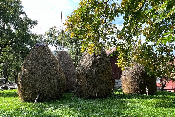 Peles castle and authentic Romanian village experience - day trip - Authentic Experiences That Delight Travelers