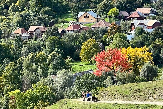 Peles castle and authentic Romanian village experience - day trip - Is This Tour Worth It?