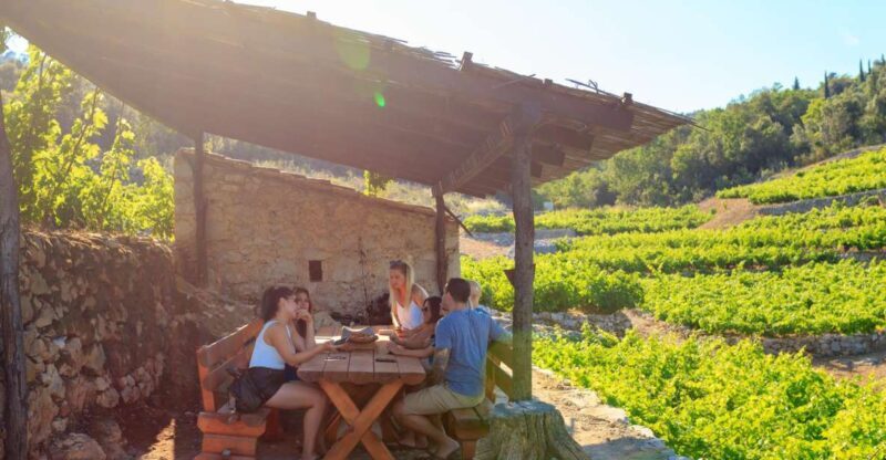 Peljeac Full-Day Wine and Food Tour from Dubrovnik - The Details that Make This Tour Stand Out