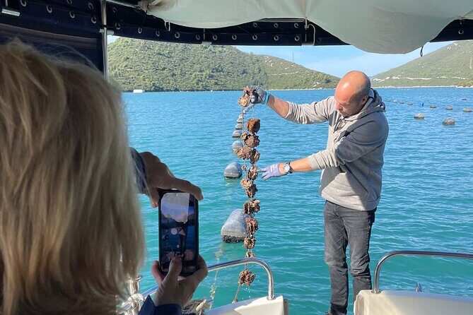 Peljeac - Wine, Oysters and Food Experience from Dubrovnik - The Journey Begins: Convenient Pickup and Personalized Service