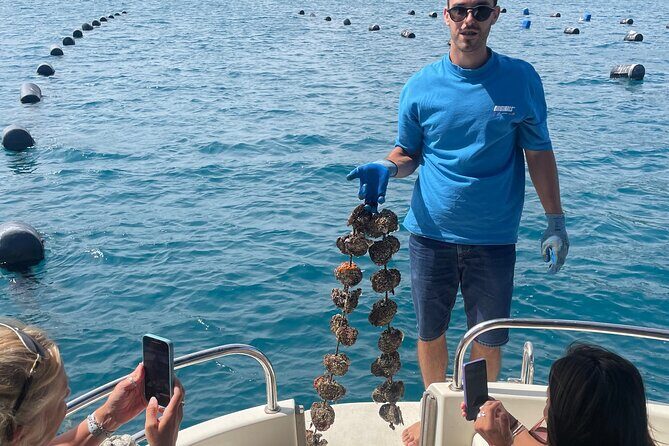 Peljeac - Wine, Oysters and Food Experience from Dubrovnik - Value for Money and Overall Experience