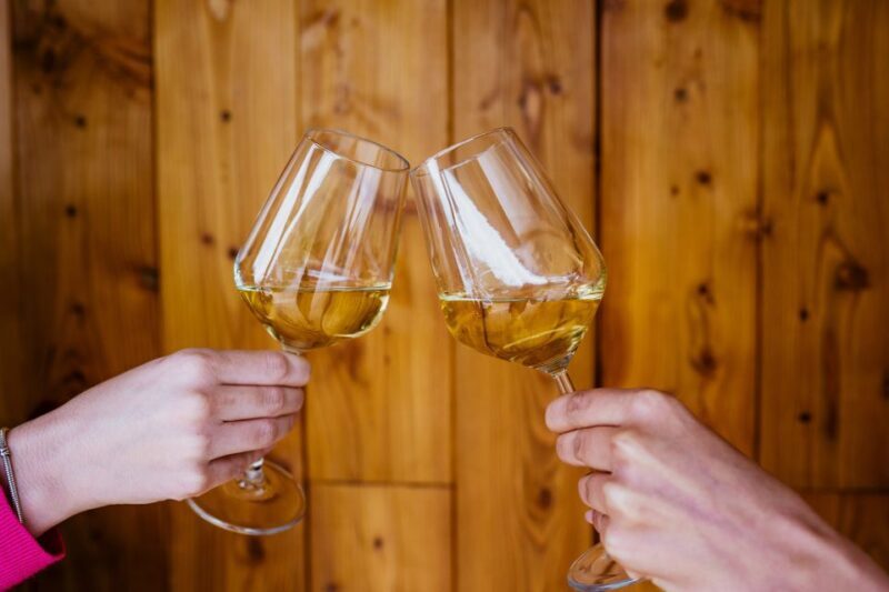 Peljeac wine tasting and local winery visit - Pricing and Value: Does it deliver?