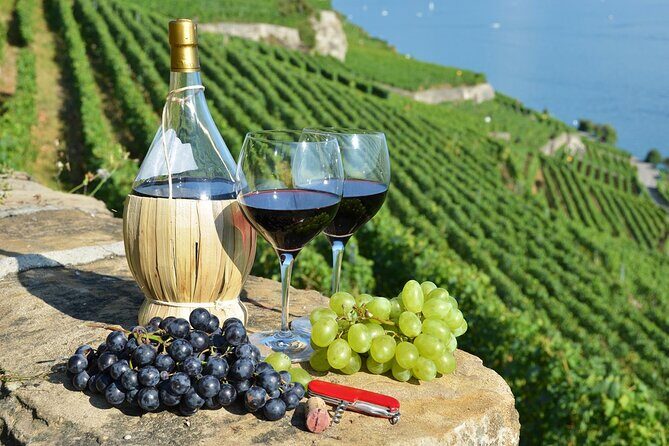 Peljesac Vineyards & Oysters - Private Day Trip from Dubrovnik-Mercedes Vehicle - Introduction