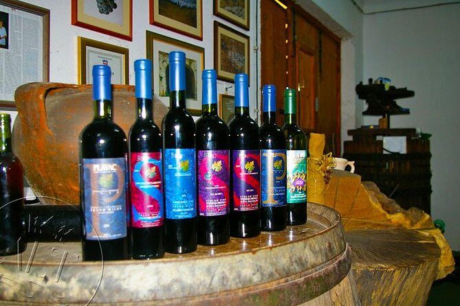 Peljesac Vineyards & Oysters - Private Day Trip from Dubrovnik-Mercedes Vehicle - The Practical Details