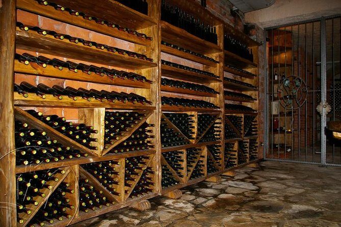 Peljesac Vineyards & Oysters - Private Day Trip from Dubrovnik-Mercedes Vehicle - Final Thoughts