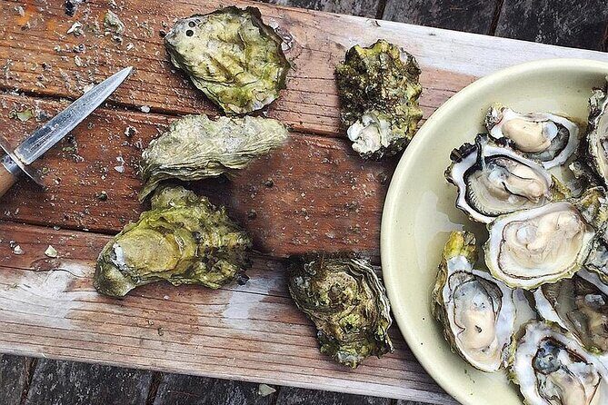 Peljesac Wine & Ston Oysters PRIVATE HALF DAY SHORE TOUR - The Sum Up