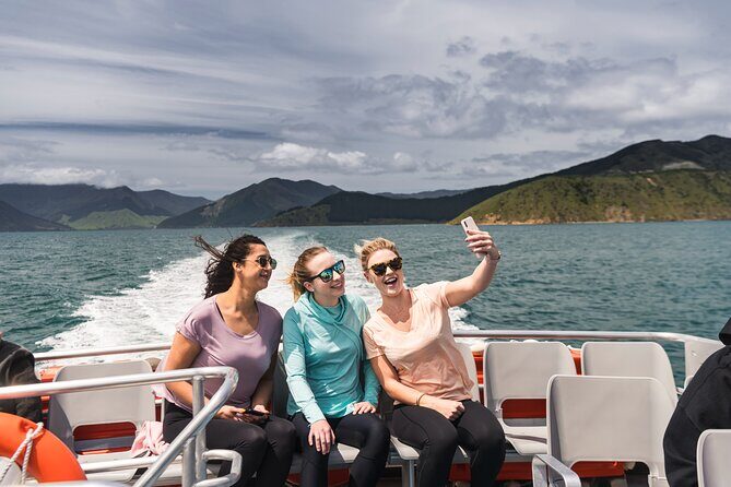 Pelorus Mail Boat Sunday Scenic Cruise Full-Day from Havelock - Practical Tips for Travelers