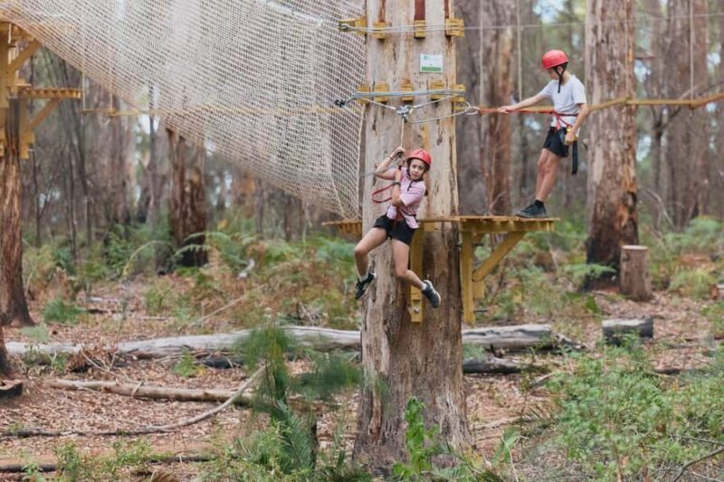 Pemberton: 1 Hour Explorer Pass with Ziplines and High Ropes - The Experience: What You Can Expect