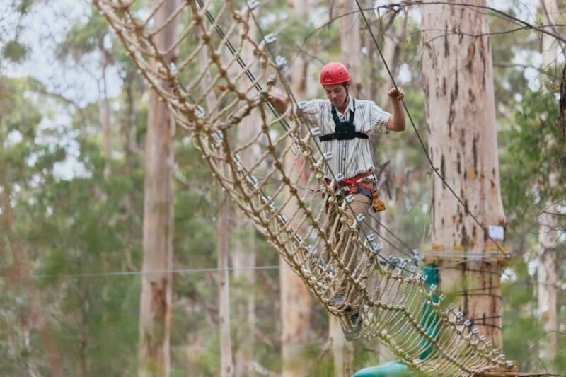 Pemberton: 2.5h Ultimate Ziplines & High Ropes Experience - Key Points