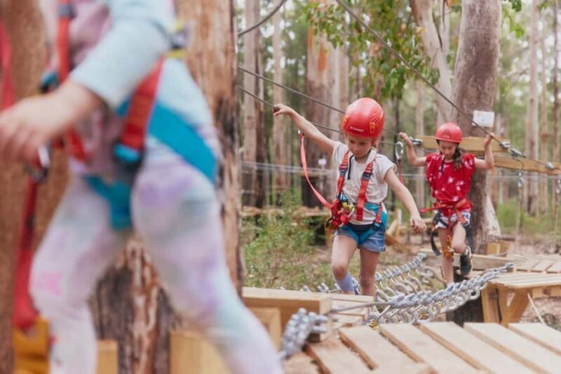 Pemberton: 40 minute Kookies Pass with Zip Lines & Low Ropes - Key Points