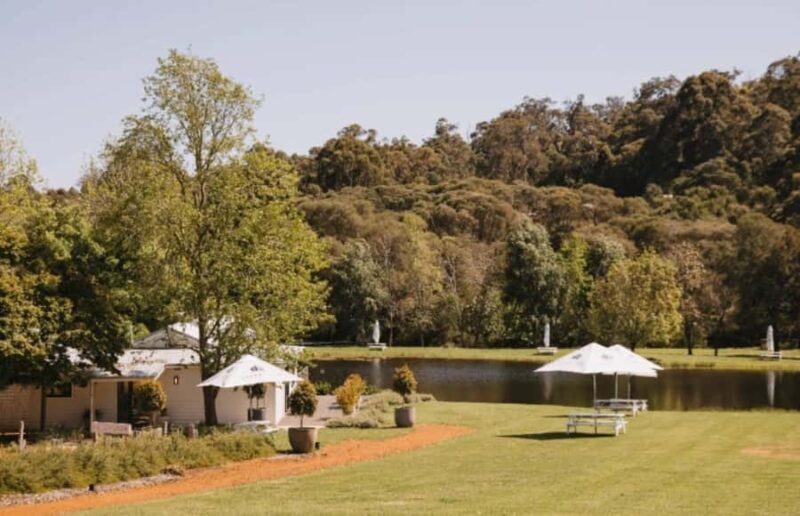 Pemberton: Ampersand Estates Wine Tasting Experience - Introduction to Ampersand Estates and Pemberton