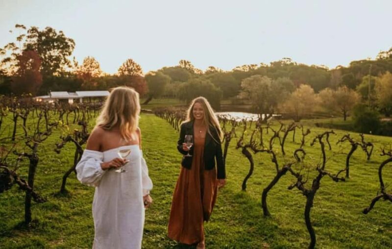 Pemberton: Ampersand Estates Wine Tasting Experience - The Sum Up