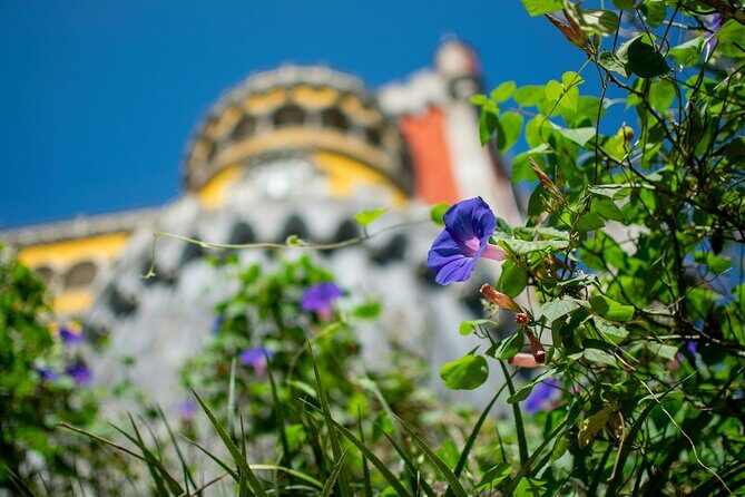Pena Palace and Park Entry Tickets in Sintra - FAQ
