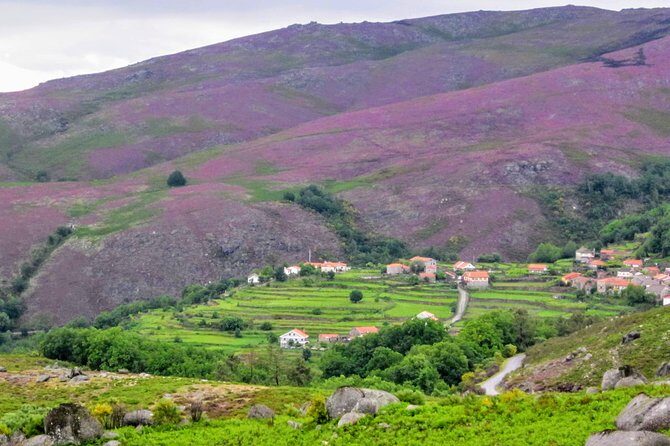 Peneda-Gerês Hiking & Sightseeing: Private Experience - Who Should Consider This Tour?