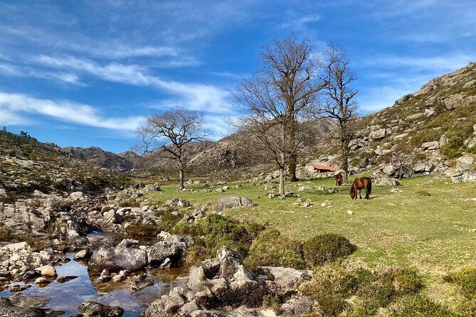 Peneda-Gerês Hiking & Sightseeing: Private Experience - Frequently Asked Questions