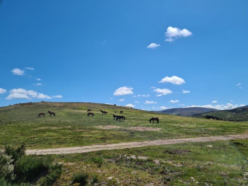 Peneda Gerês National Park: Self-Guided Electric Bike Tour - Practical Details: What to Expect