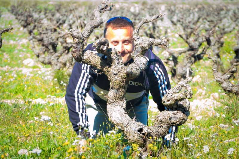 Penedès/BCN: Self-Guided eBike Tour with guided Winery Visit - Key Points