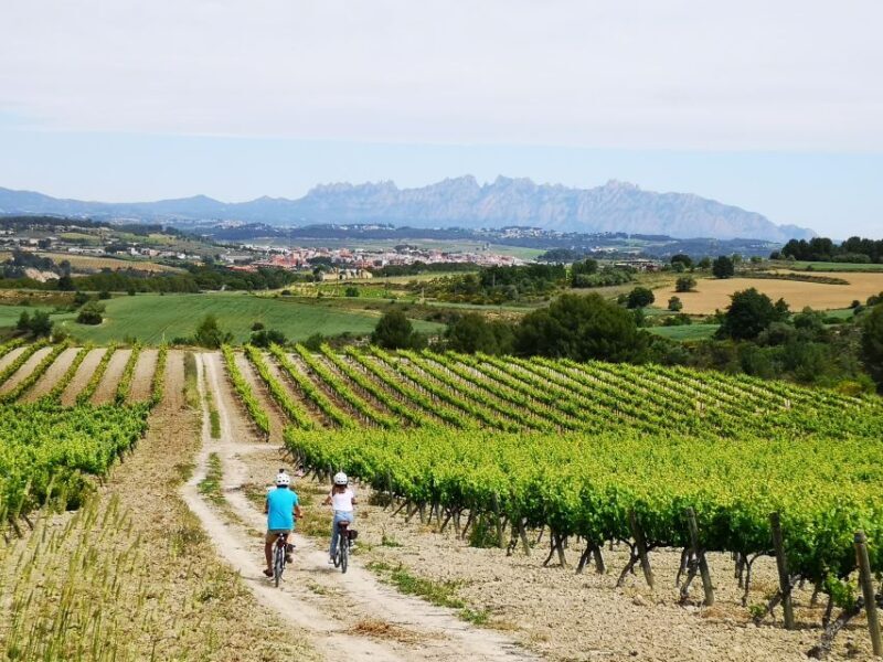 Penedès/BCN: Self-Guided eBike Tour with guided Winery Visit - An Authentic Ride through Penedès’ Vineyards
