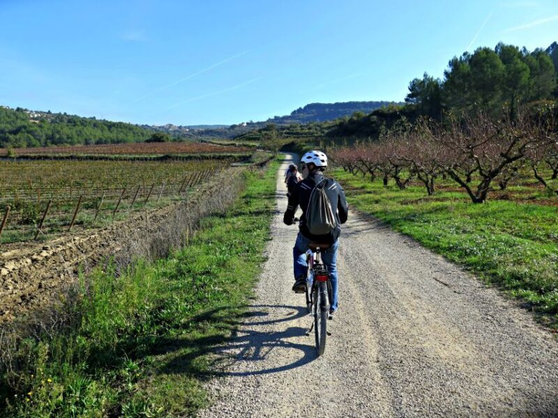 Penedès/BCN: Self-Guided eBike Tour with guided Winery Visit - Limitations and Considerations