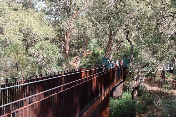 Penguin and Seal Islands Sea Kayaking Experience - Who Should Book This Tour?