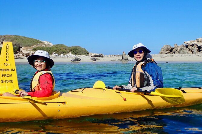 Penguin and Seal Islands Sea Kayaking Experience - Final Thoughts