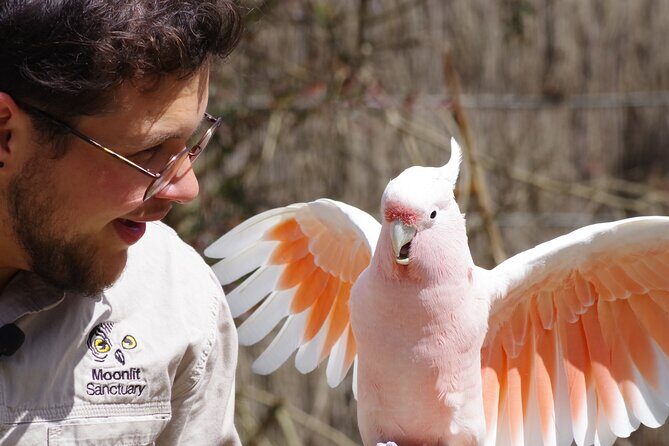 Penguin Parade, & Wildlife Encounters Eco Tour from Melbourne - The Sum Up