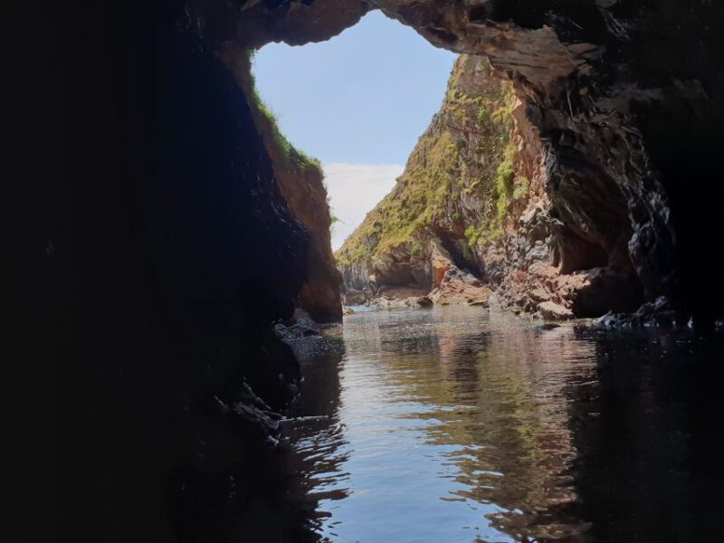 Peniche: Berlengas Roundtrip and Glass-Bottom Boat Cave Tour - The Sum Up