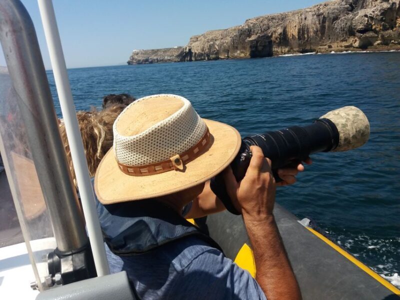 Peniche: Dolphin Route Boat Trip - Key Points