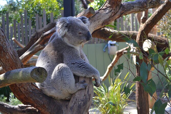 Peninsula Nature Tour - Final Thoughts