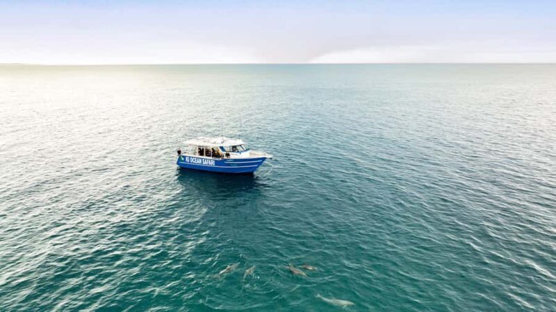 Penneshaw: Kangaroo Island Ultimate Adventure Tour - An Authentic Day on Kangaroo Island