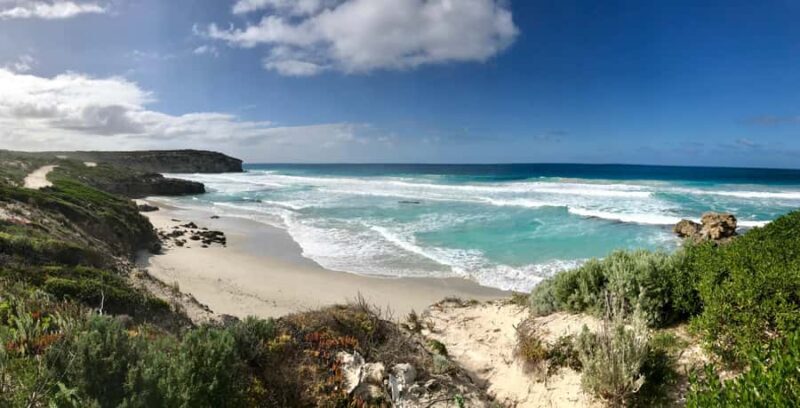 Penneshaw: Shore Excursion Kangaroo Island Scenic Tour - Why This Tour Works Well