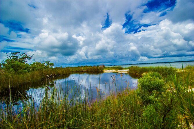 Pensacola Beach Fort Pickens Dolphin Cruise Tour - The Itinerary Breakdown