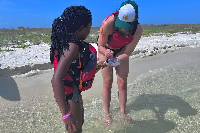 Pensacola Beach Kayak Tour - An Overview of the Tour Experience