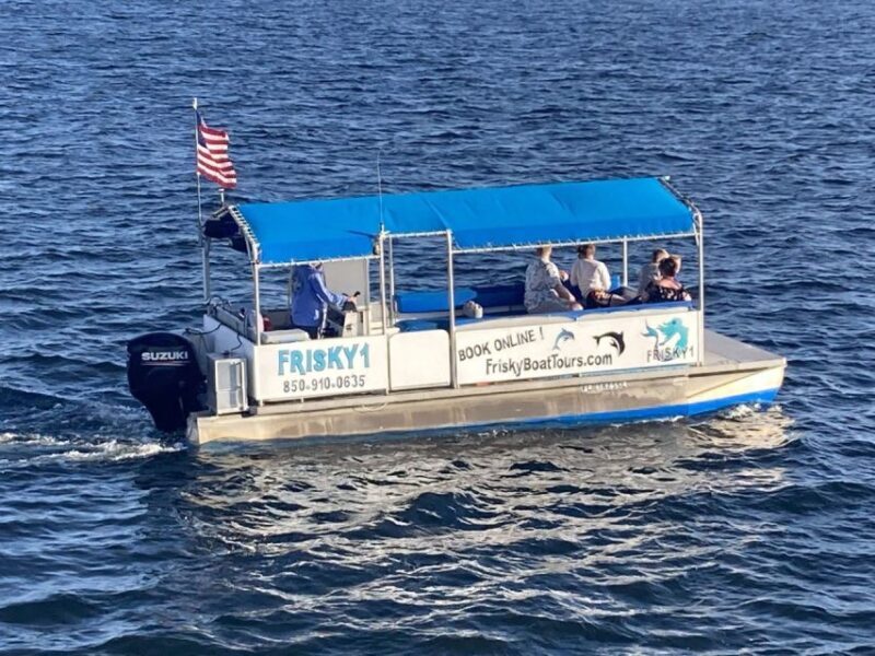 Pensacola Beach Sunset Dolphin Tour private up to 6 ppl - An In-Depth Look at the Pensacola Beach Sunset Dolphin Tour