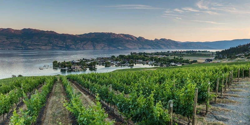 Penticton: Naramata Bench Full Day Guided Wine Tour - Wrapping It Up