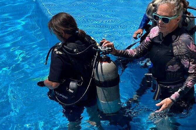 Personalized Snorkeling and Diving Experience in Riviera Maya - FAQ