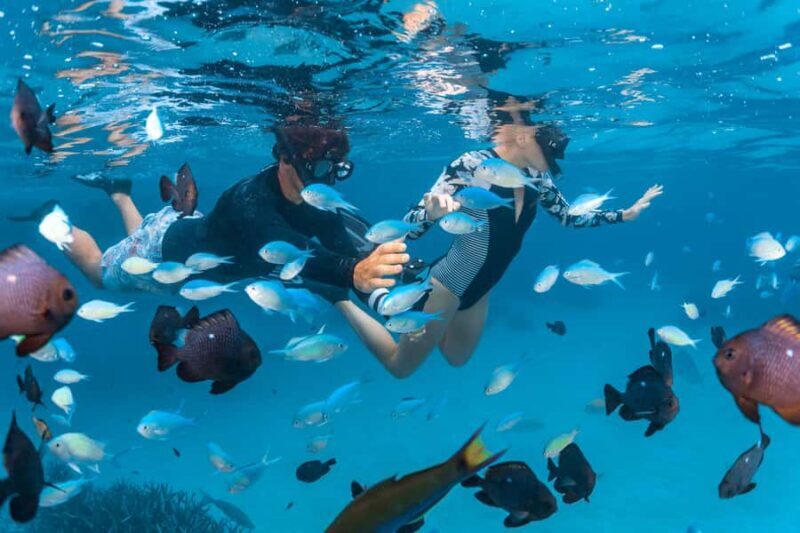 Perth: 7 Day Exmouth Explorer & Ningaloo Reef Return Perth - Introduction