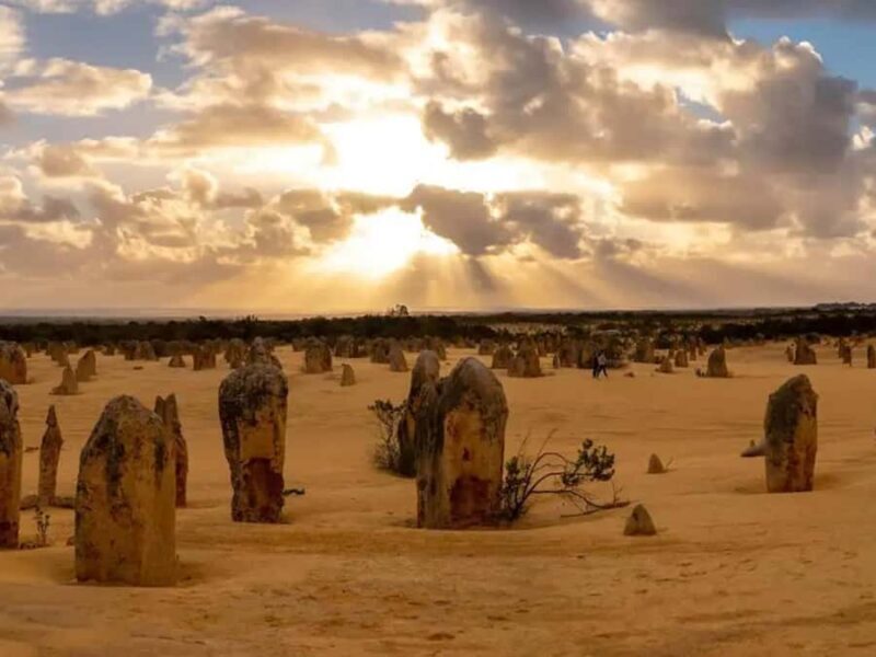 Perth: 7-Day Rottnest Island Tour Package with Accommodation - Day 2: Pinnacles, Koalas, and Sand Dunes