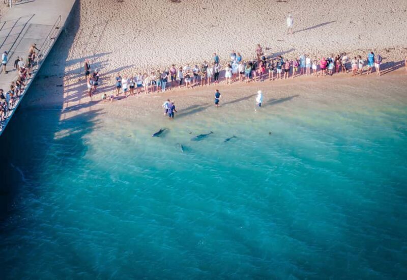 Perth: 8-Day Exmouth Tour with Ningaloo Reef Comfort Tour - Discover Western Australia on the 8-Day Exmouth Comfort Tour