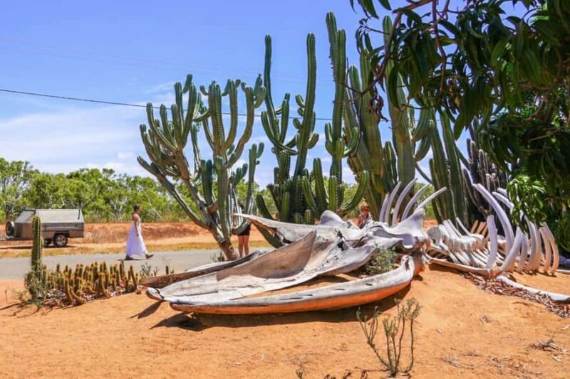 Perth: 8-Day Exmouth Tour with Ningaloo Reef Comfort Tour - Potential Drawbacks and Considerations