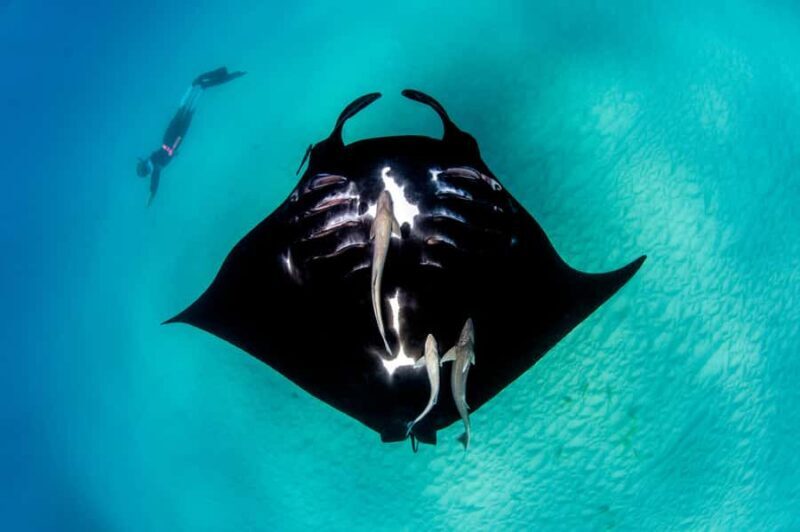 Perth: 8-Day Exmouth Tour with Ningaloo Reef Comfort Tour - Frequently Asked Questions