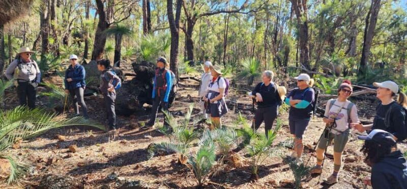 Perth: Abyssinia Rock Hiking Experience - What to Pack and Wear