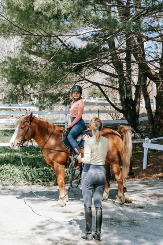 Perth, Australia: 1-Hour Scenic Horseback Trail Adventure - Key Points