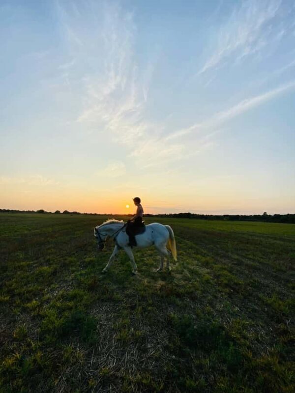 Perth, Australia: 1-Hour Scenic Horseback Trail Adventure - Value for Money and Overall Impression