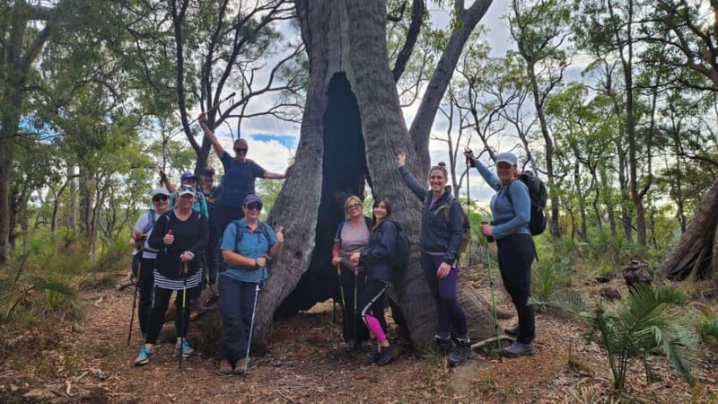 Perth: Bibbulmun Track Hiking Experience with Lunch - Key Points